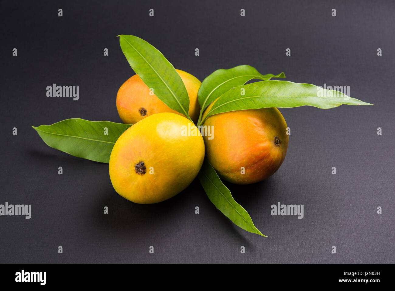 King of fruits; Alphonso yellow Mango fruit duo with stems and green ...