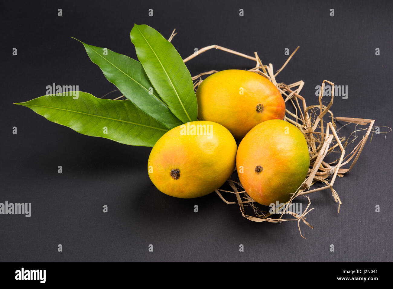 King of fruits; Alphonso yellow Mango fruit duo with stems and green ...