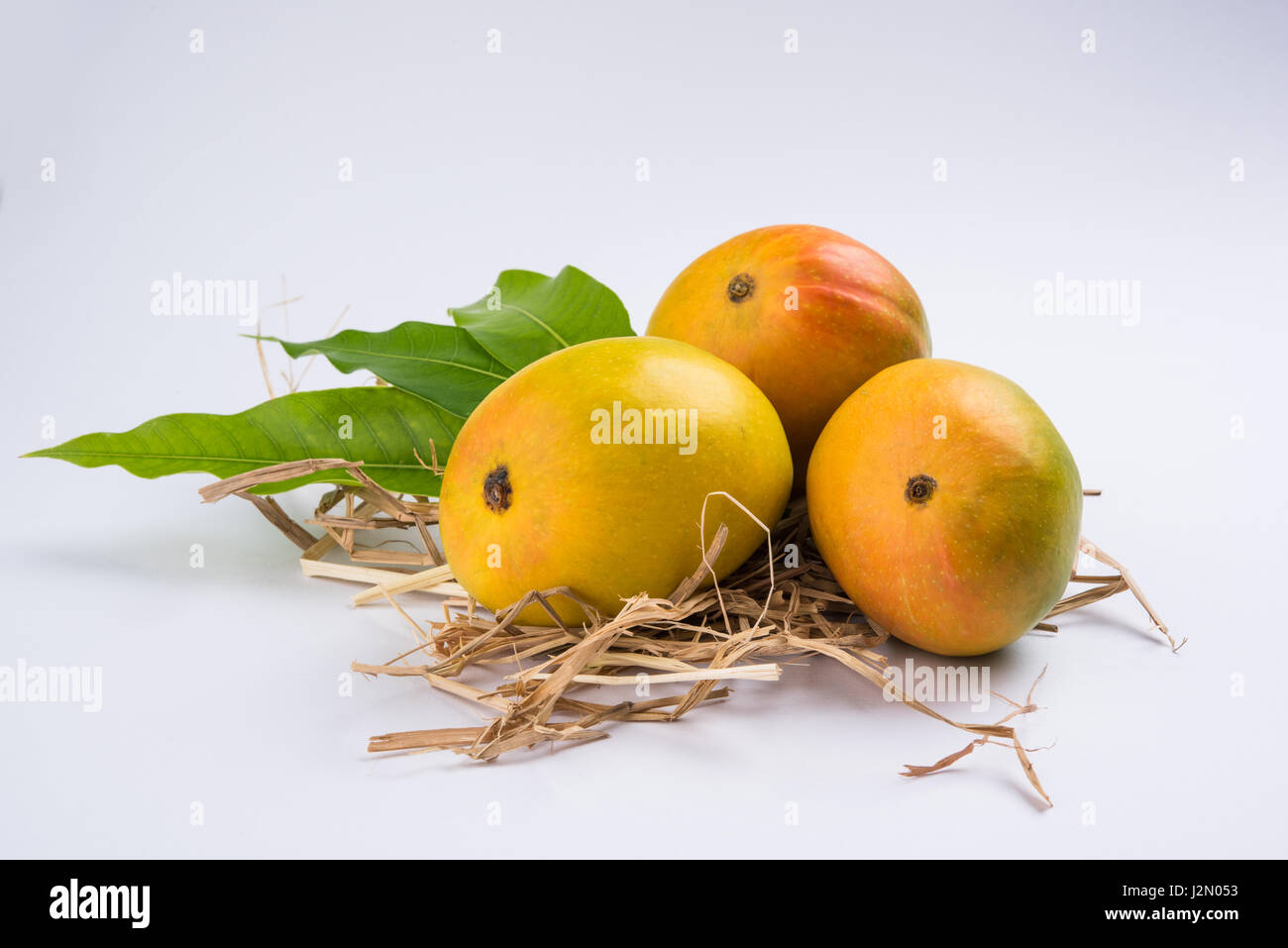 King of fruits; Alphonso yellow Mango fruit duo with stems and green ...