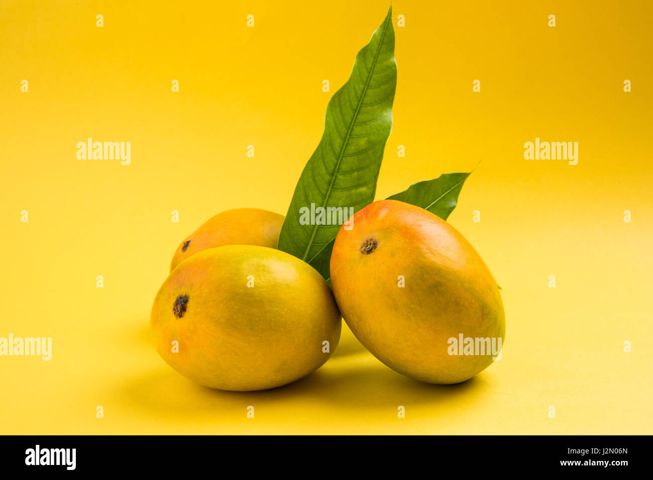 Hapus Mango Tree Wallpaper