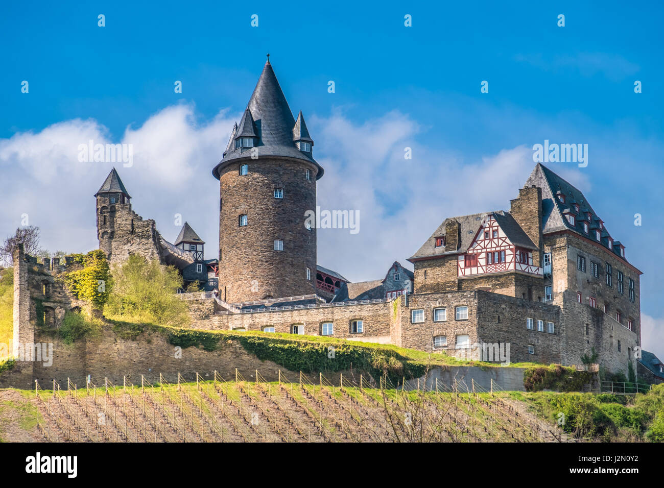 Vineyards and Stahleck Castle, Bacharach am Rhein in the Mainz-Bingen ...