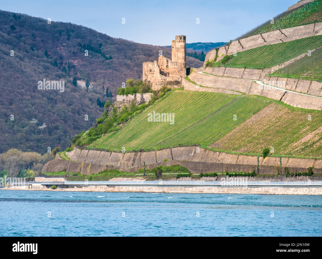 Ehrenfels Castle (Burg Ehrenfels) a ruined castle above the Rhine Gorge ...