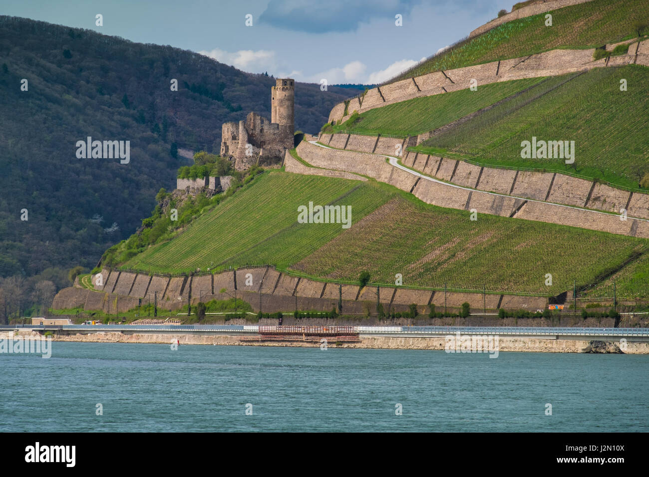 Ehrenfels Castle (Burg Ehrenfels) a ruined castle above the Rhine Gorge ...