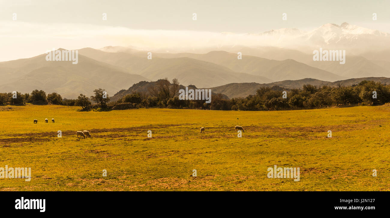 View of the Pyrenees with Mount Canigou from Montalba-le-Château ...