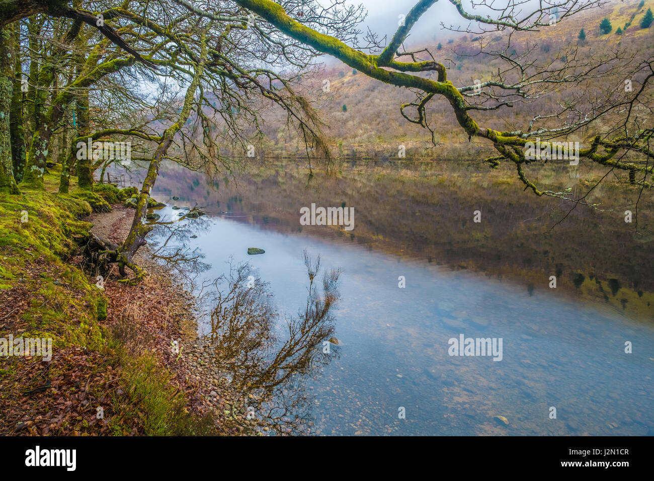 Landscapes alongh the shores of Loch Ness, a large, deep, freshwater ...