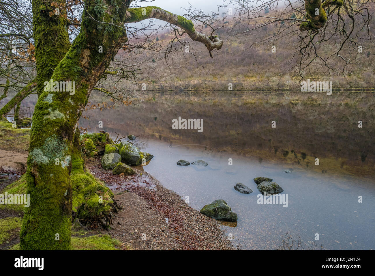 Landscapes alongh the shores of Loch Ness, a large, deep, freshwater ...