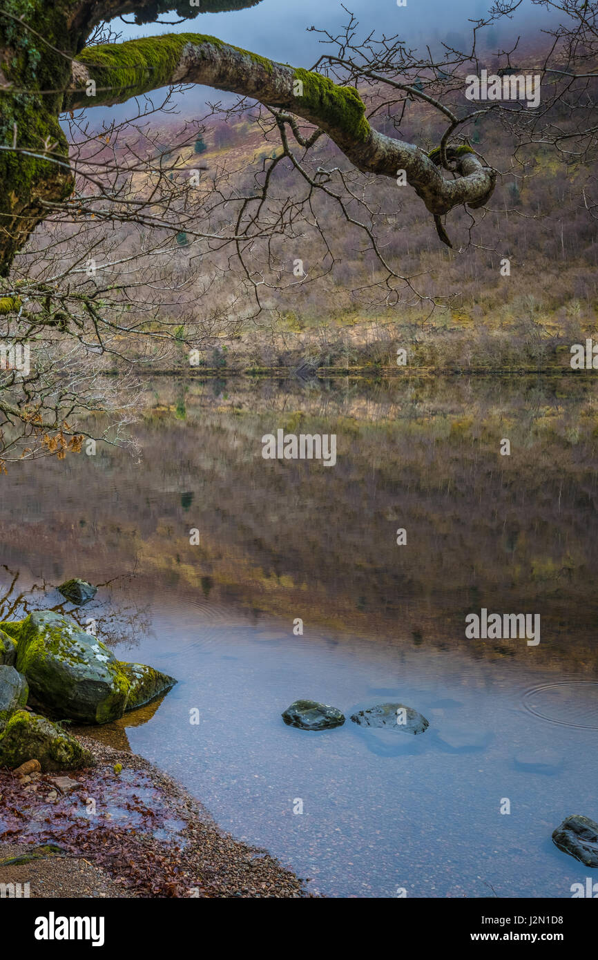 Landscapes alongh the shores of Loch Ness, a large, deep, freshwater ...