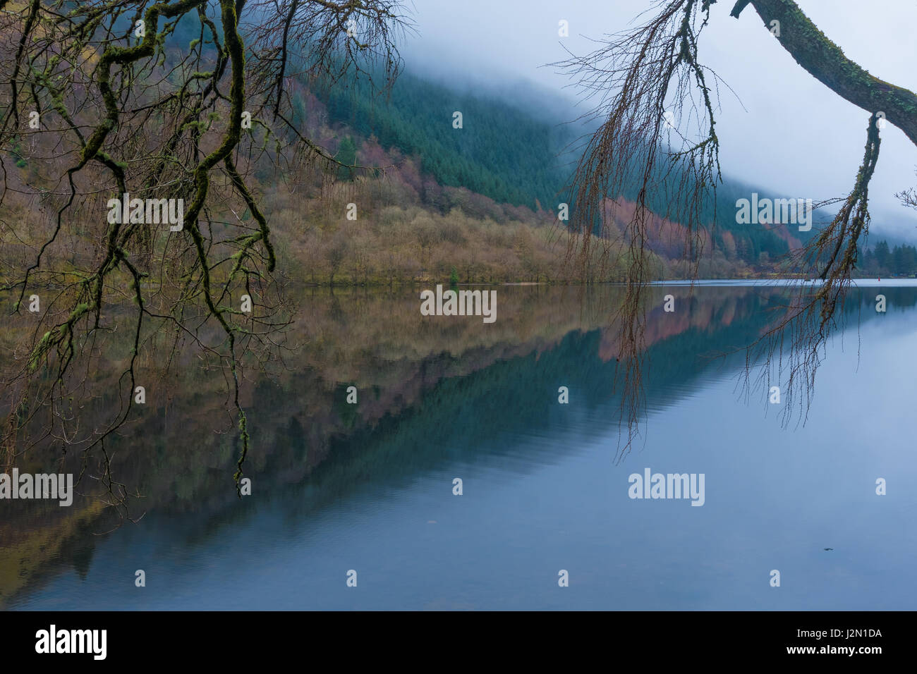 Landscapes alongh the shores of Loch Ness, a large, deep, freshwater ...
