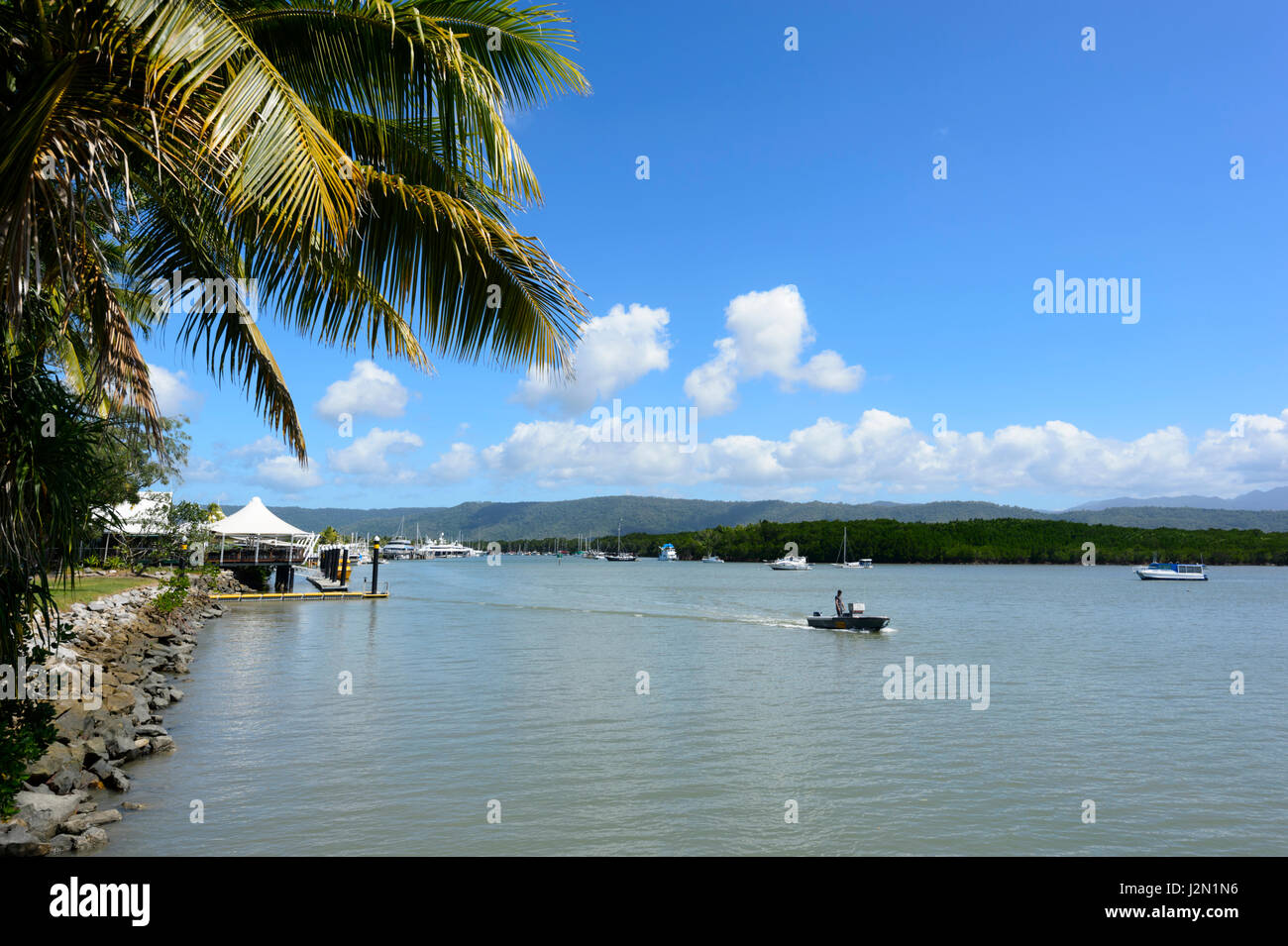 Port douglas palm trees hi-res stock photography and images - Alamy