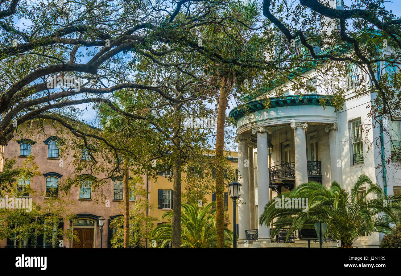 Savannah squares hi-res stock photography and images - Alamy