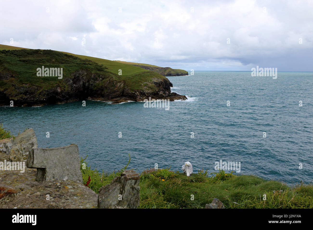 port isaac, cornwall Stock Photo - Alamy