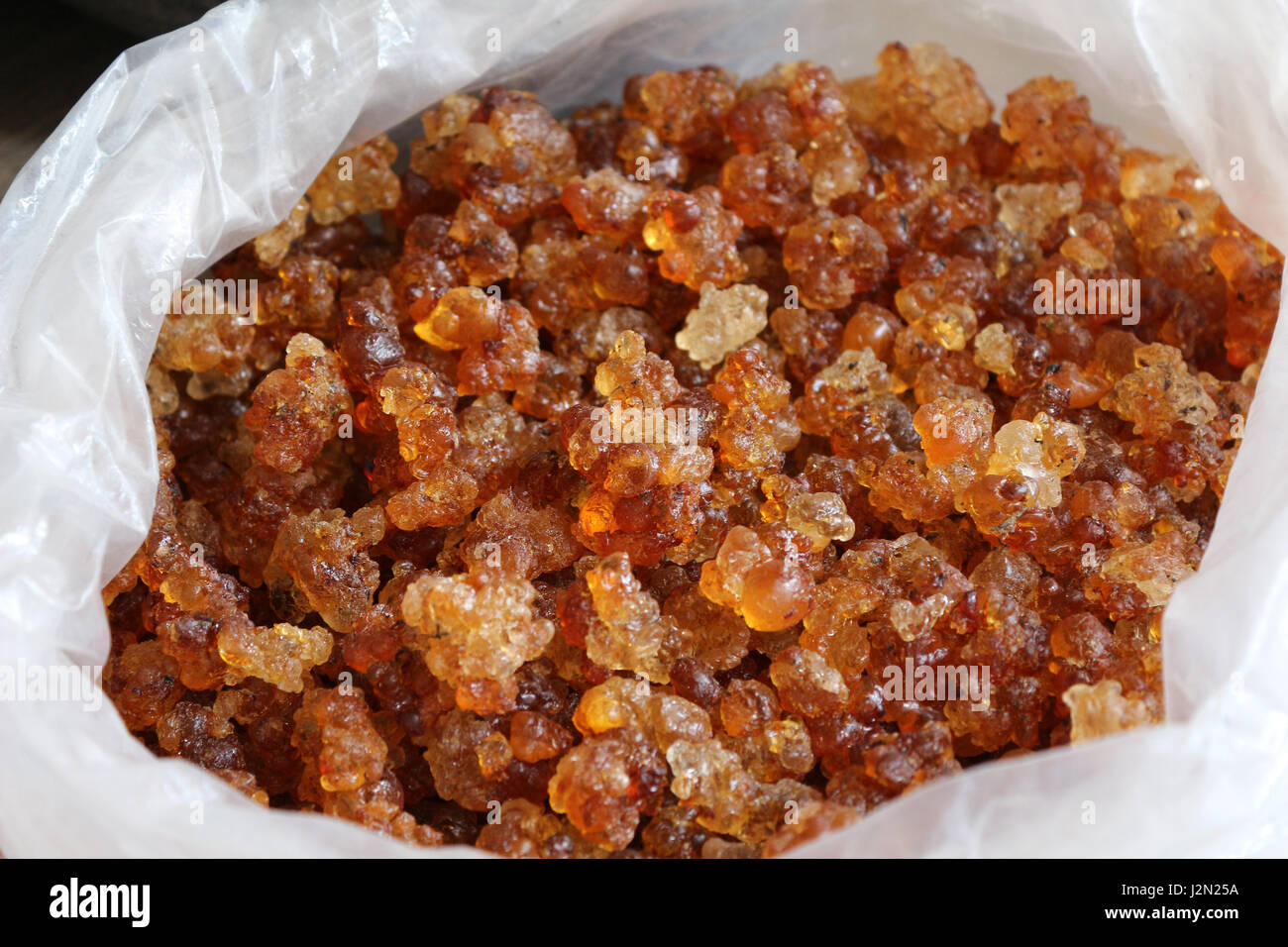 tree amber sap Stock Photo - Alamy