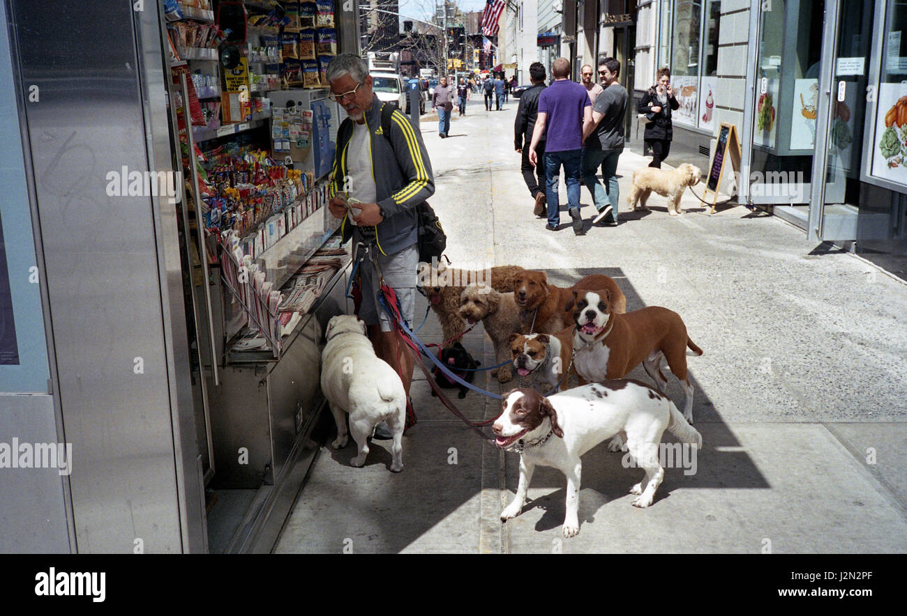 Pack walker hi-res stock photography and images - Alamy