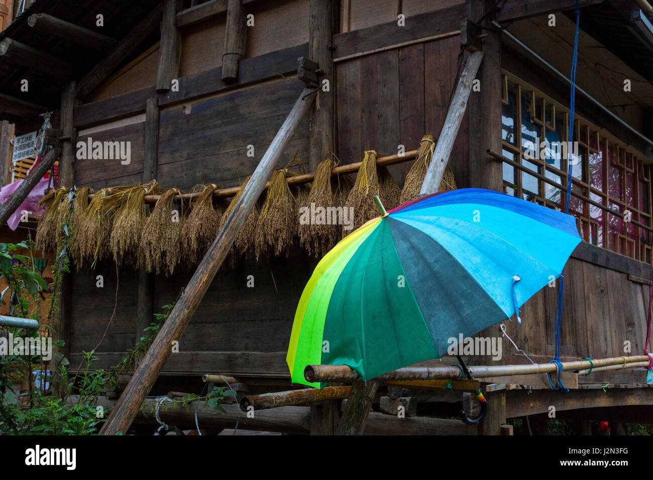 Rice drying hi-res stock photography and images - Alamy