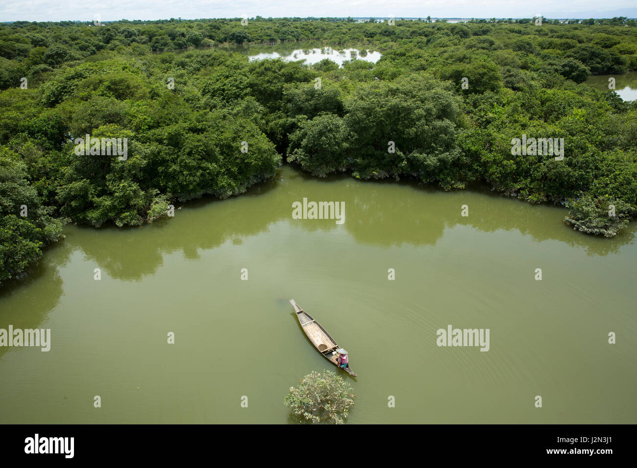 Aerial view of the Ratargul fresh water swamp forest. It is a very ...