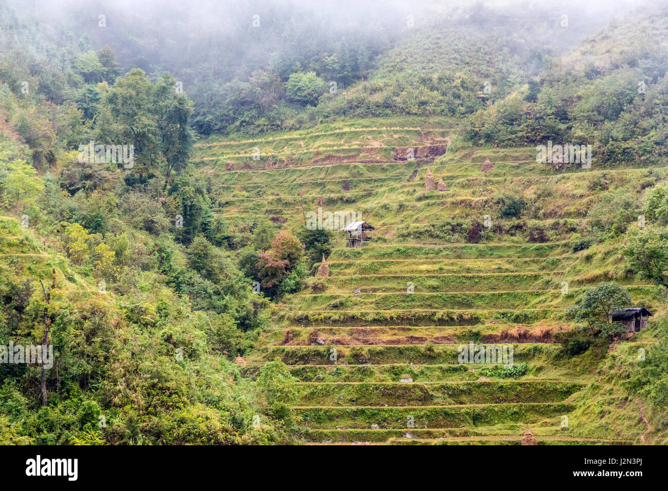 Terrace farming steep hi-res stock photography and images - Alamy