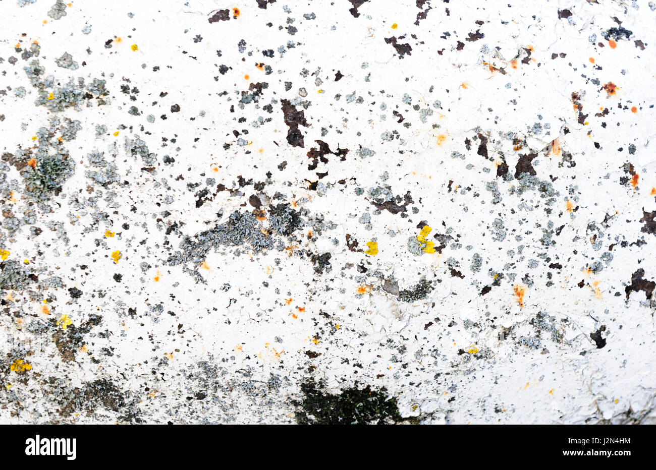 Cementroughwallpaper hi-res stock photography and images - Alamy