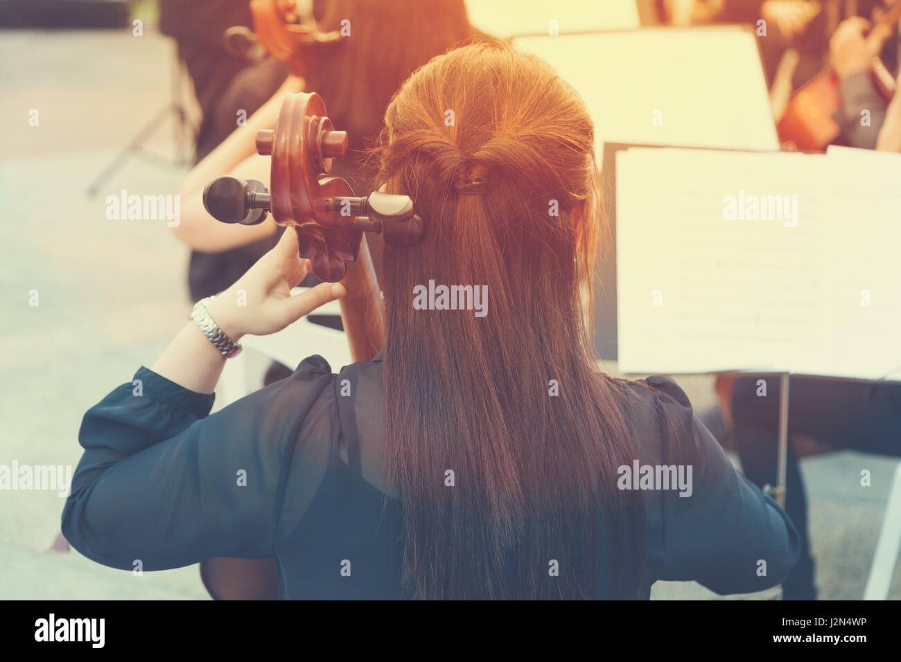 View of the back of an asian woman Cello player in a free outdoor ...