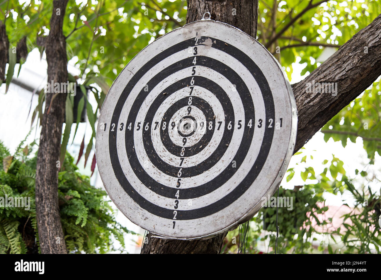 Old dart board hanging on a tree, showing sign of well used Stock Photo ...
