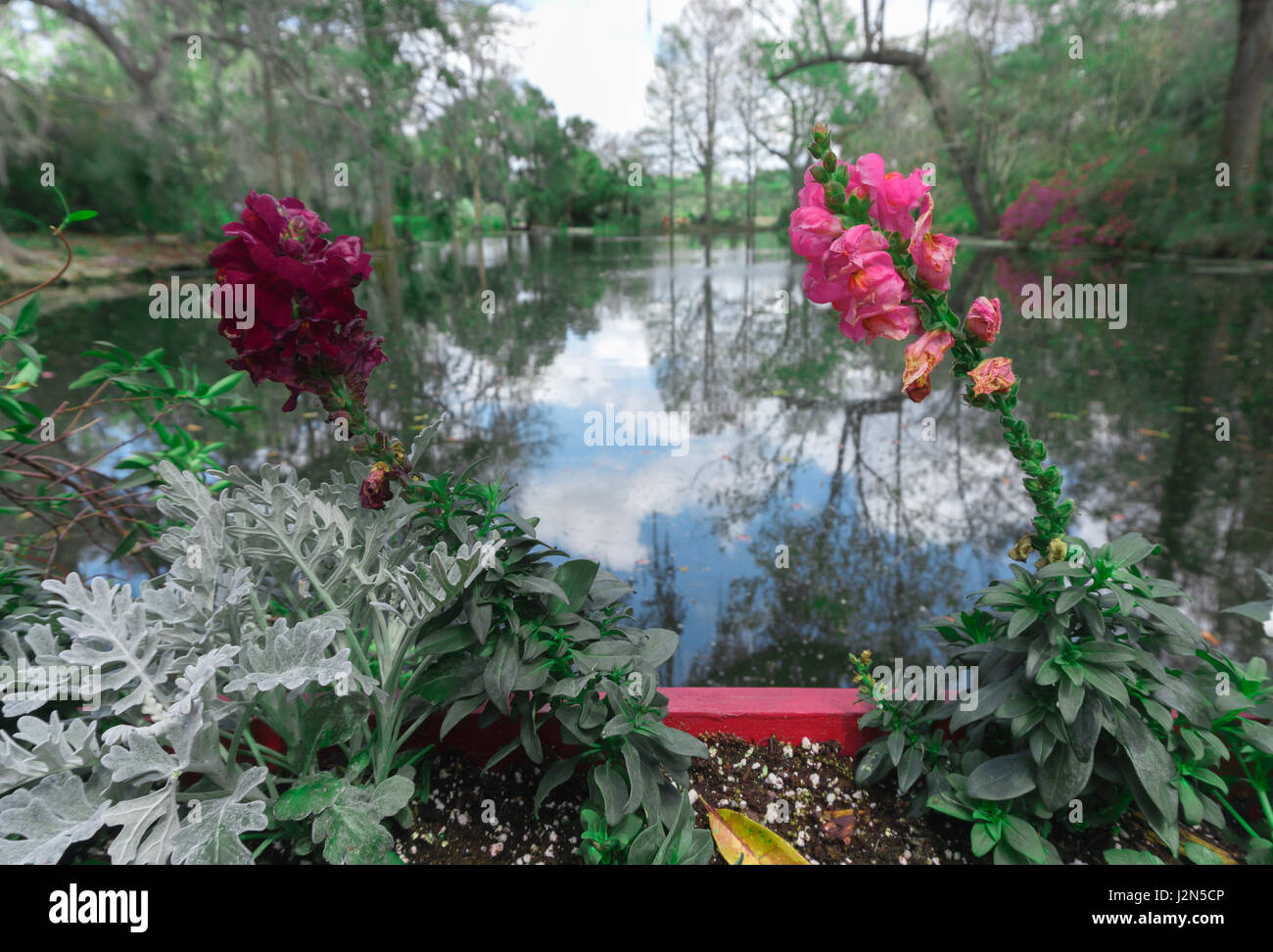 It is the view of a calm lagoon that reflects the sky with clouds ...