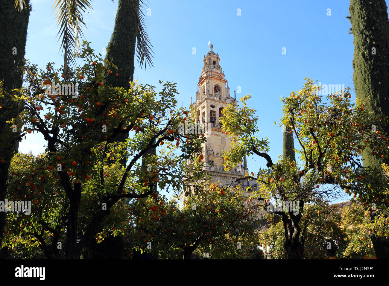 cathedral spires at cordoba mosque Stock Photo - Alamy