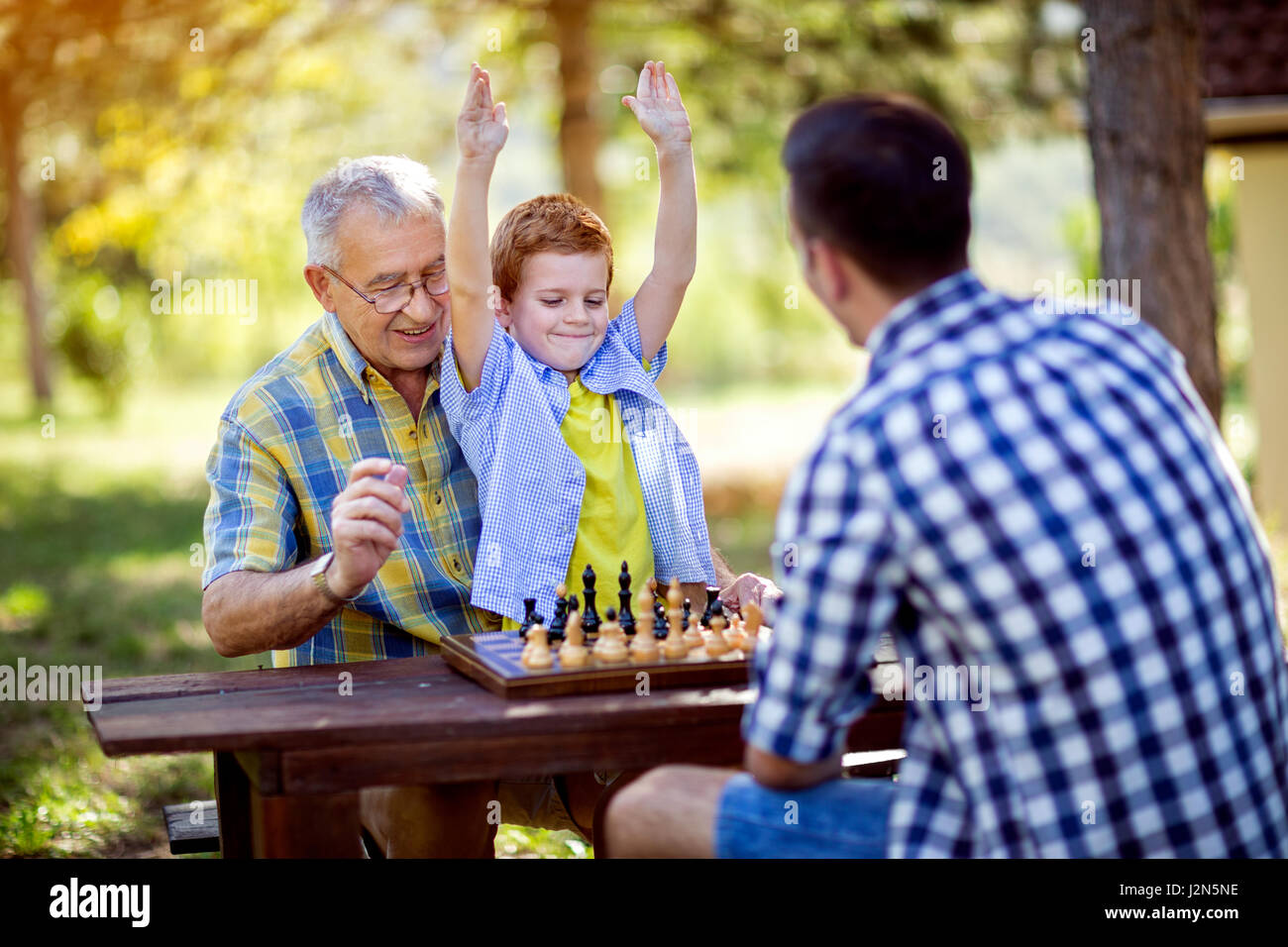 boy is winning in chess game at park Stock Photo - Alamy