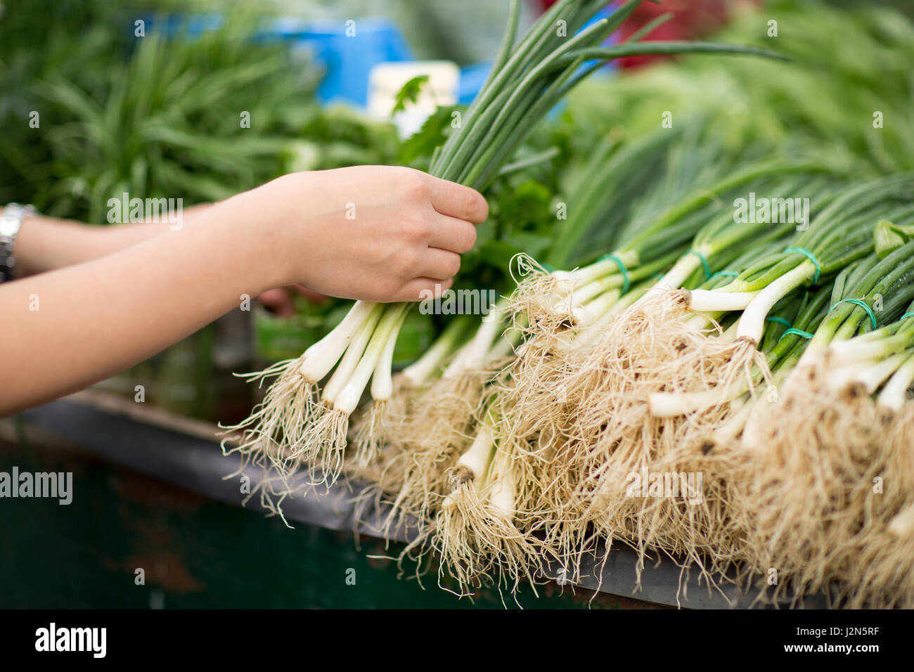 Bunches spring onions hi-res stock photography and images - Alamy