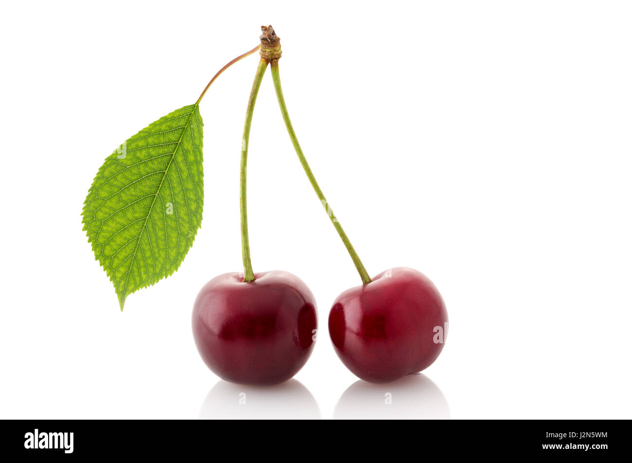 red cherry close up isolated on white Stock Photo - Alamy