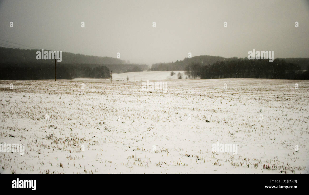 Old style photo of empty winter field and forest Stock Photo - Alamy