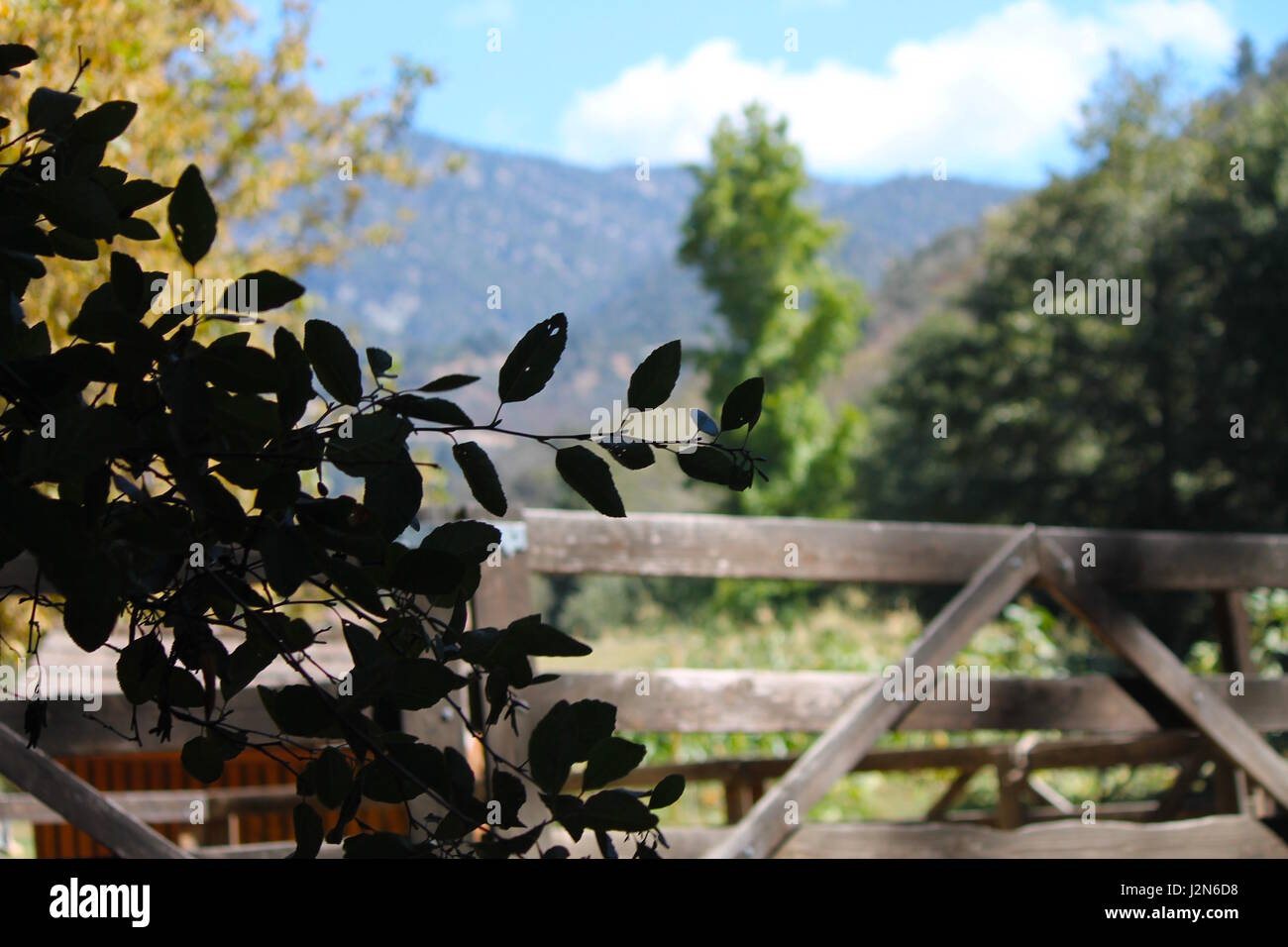 Horse stable landscape Stock Photo - Alamy