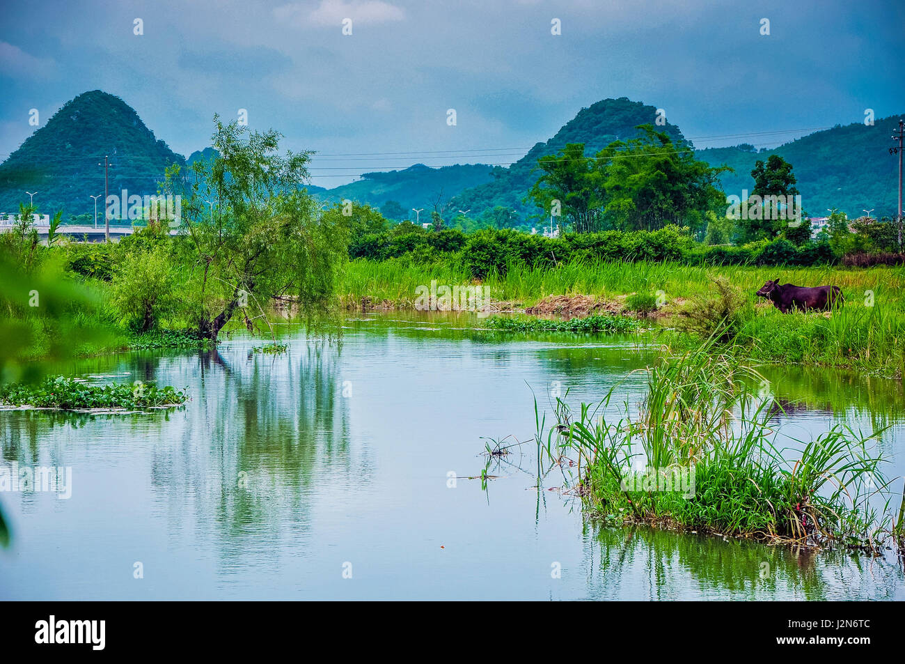 Beautiful countryside scenery in spring Stock Photo - Alamy