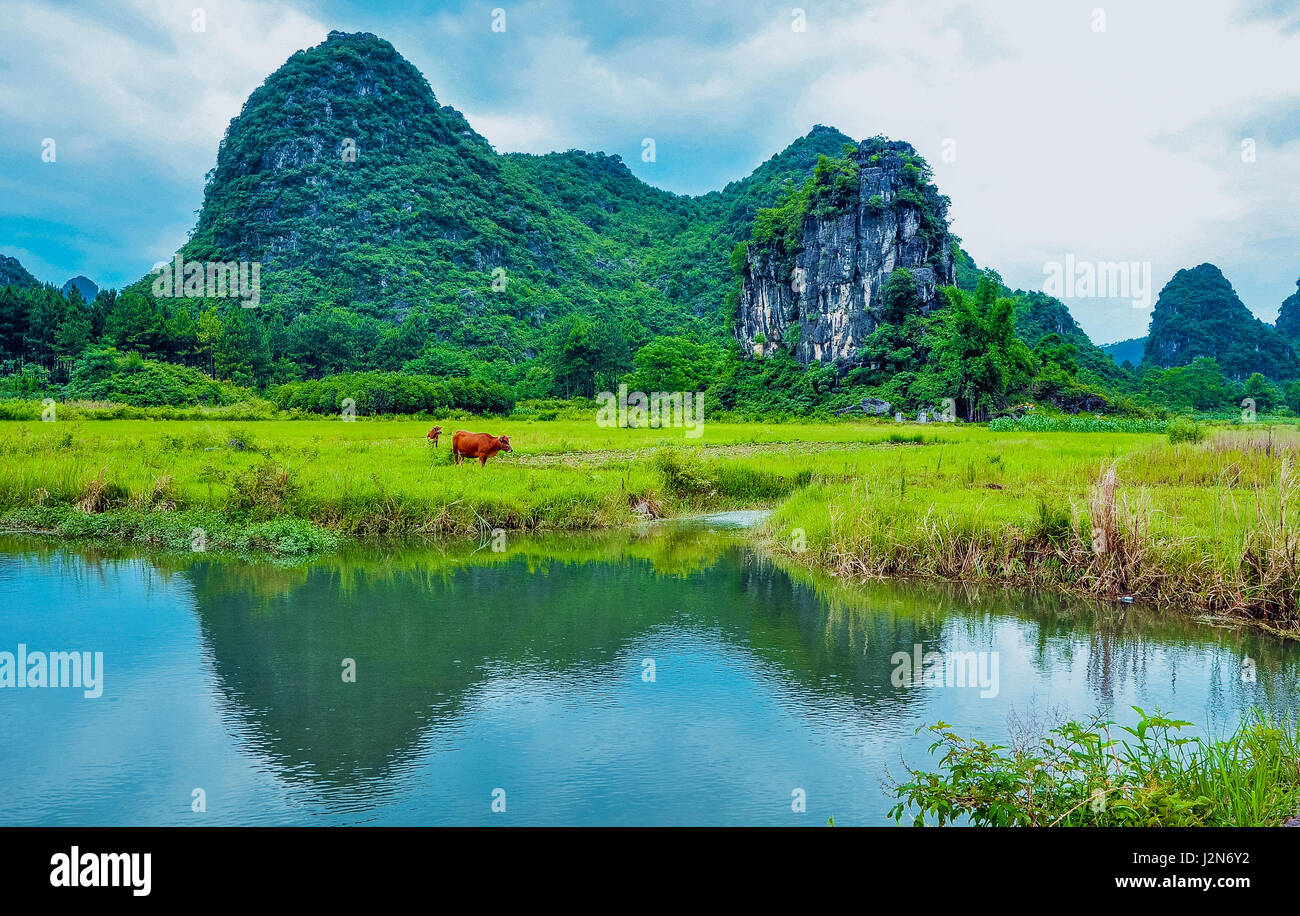 Beautiful countryside scenery in spring Stock Photo - Alamy