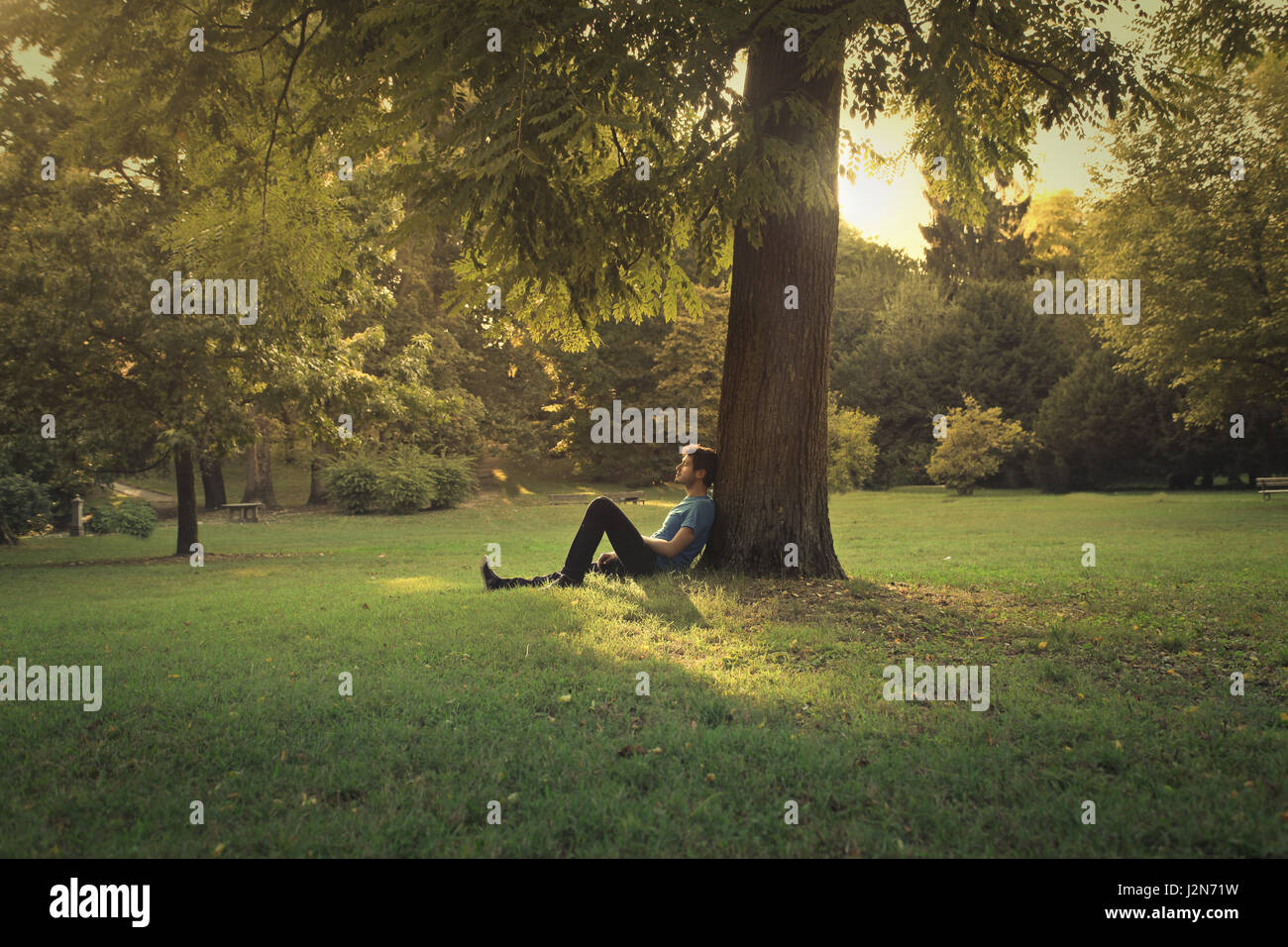Man sitting in the nature next to tree Stock Photo - Alamy