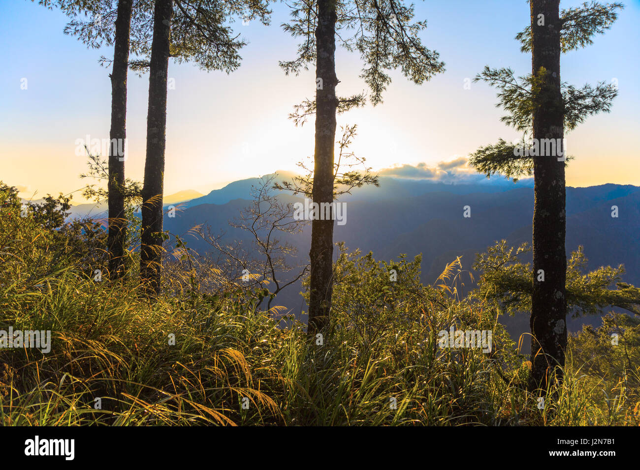 Alishan mountains hi-res stock photography and images - Alamy