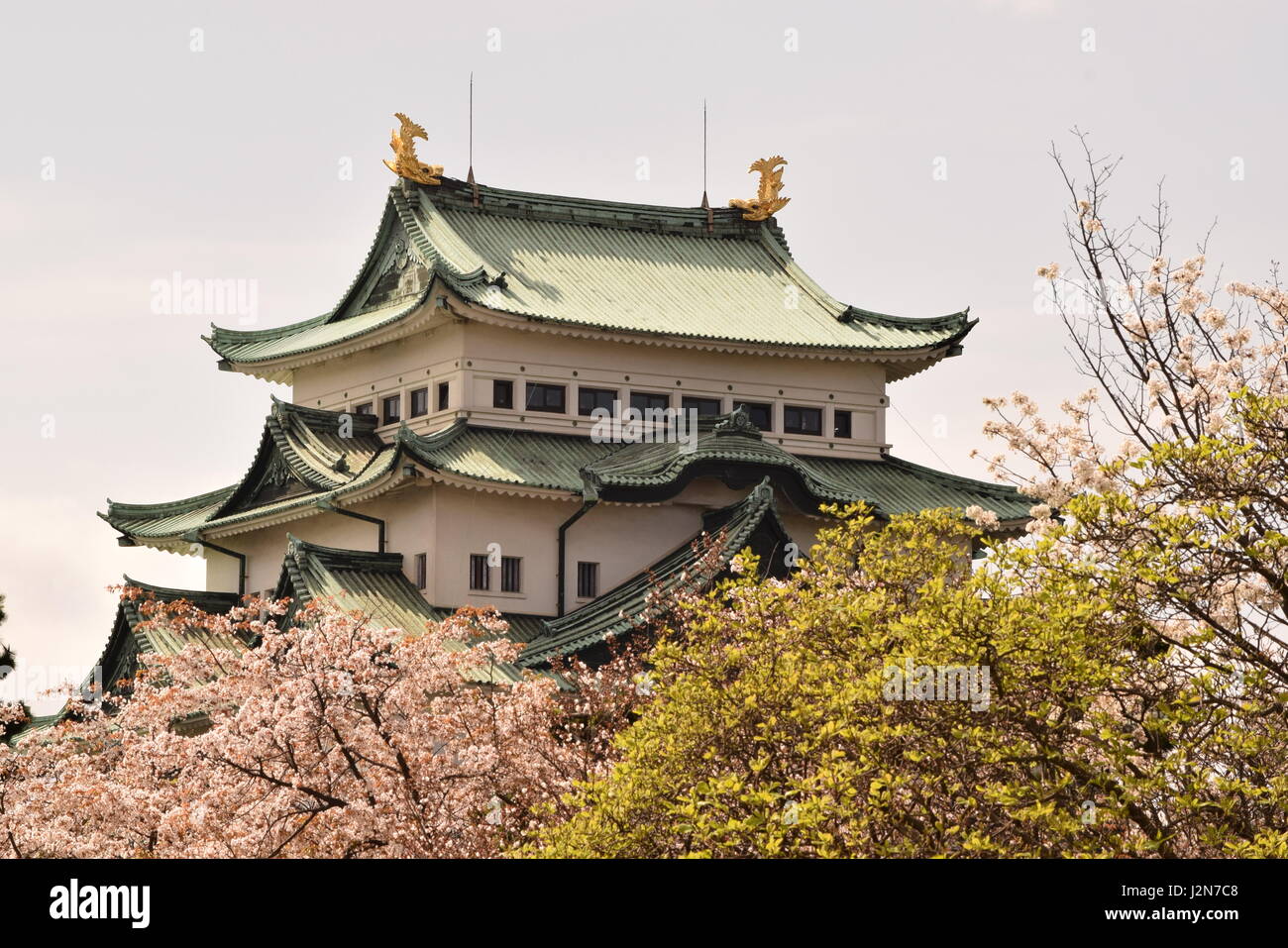 Nagoya Castle in Spring Stock Photo - Alamy