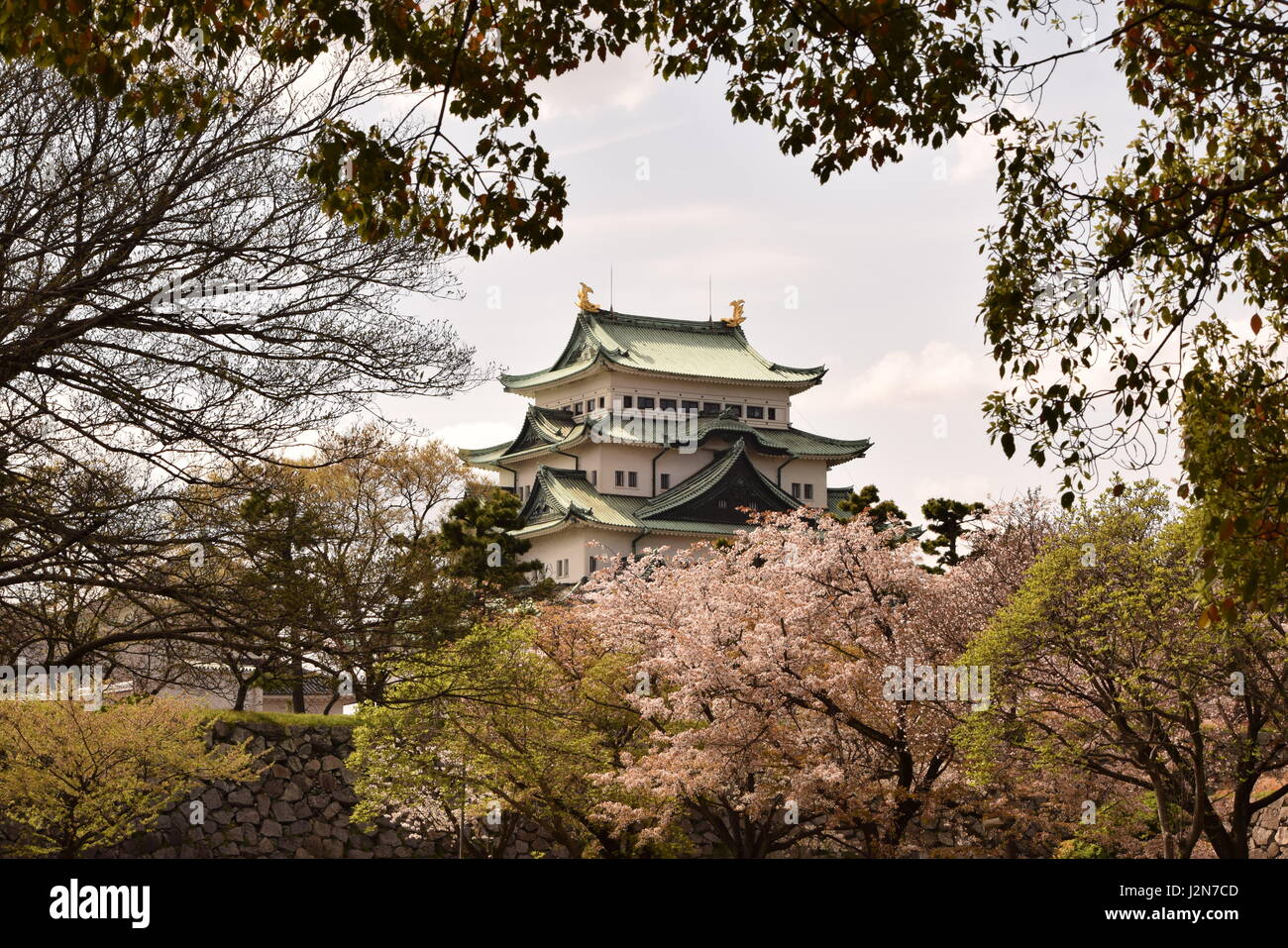 Nagoya Castle in Spring Stock Photo - Alamy
