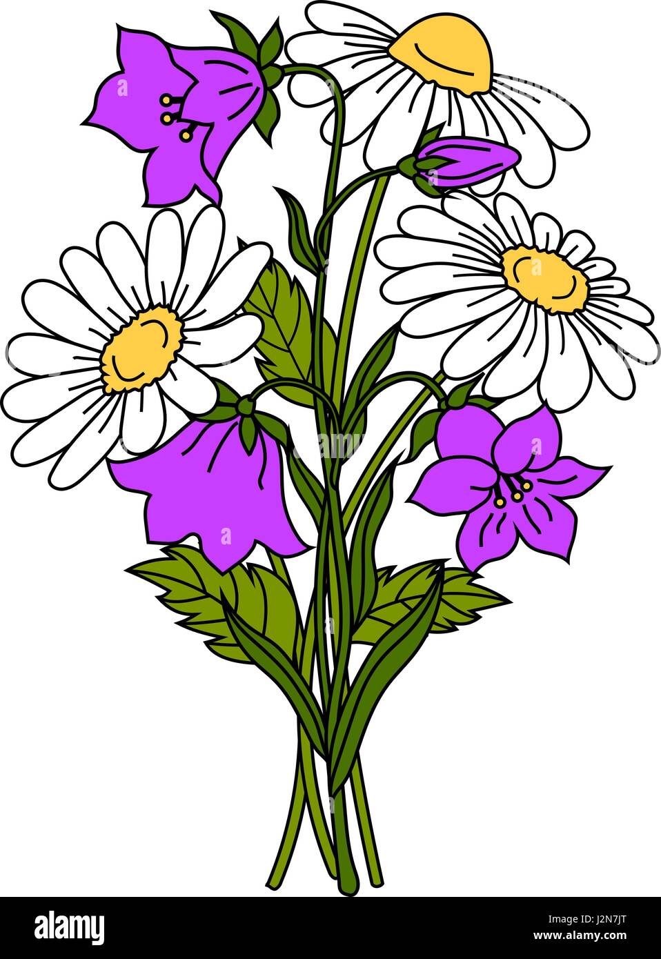 White field chamomile flowers Stock Vector Images - Alamy