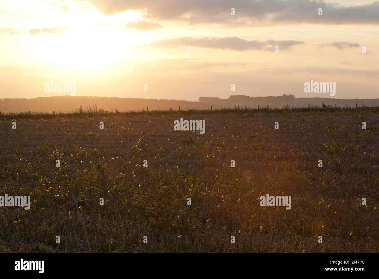 Fallow fields in golden light Stock Photo - Alamy