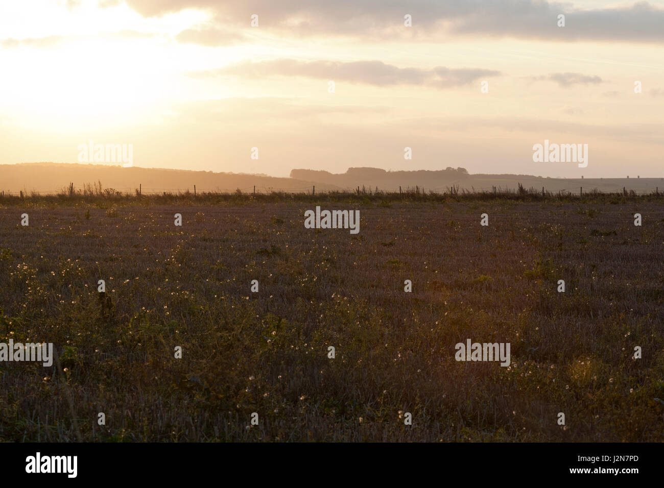 Fallow fields in golden light Stock Photo - Alamy