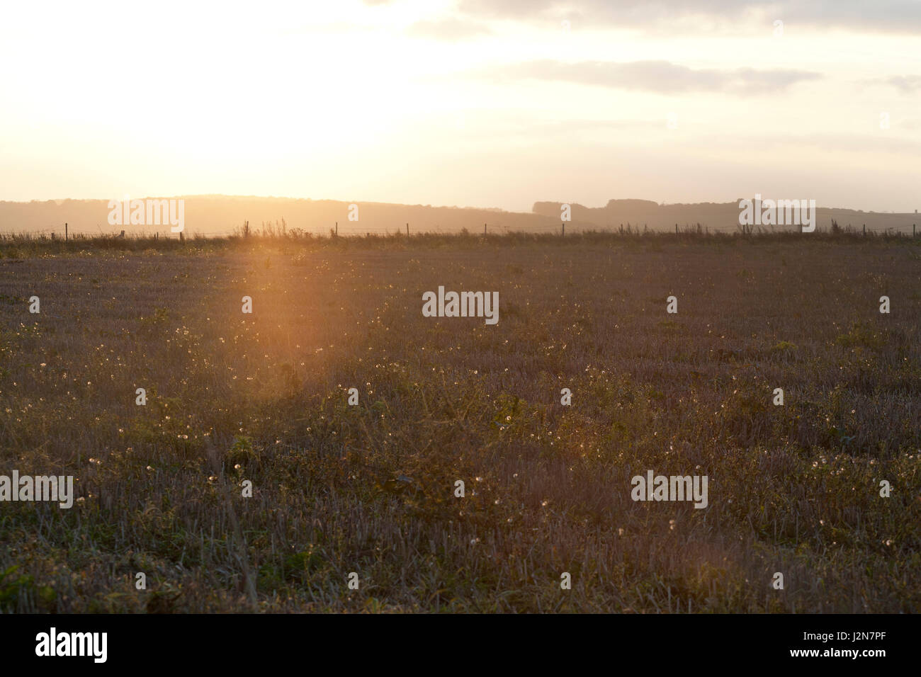 Fallow fields in golden light Stock Photo - Alamy