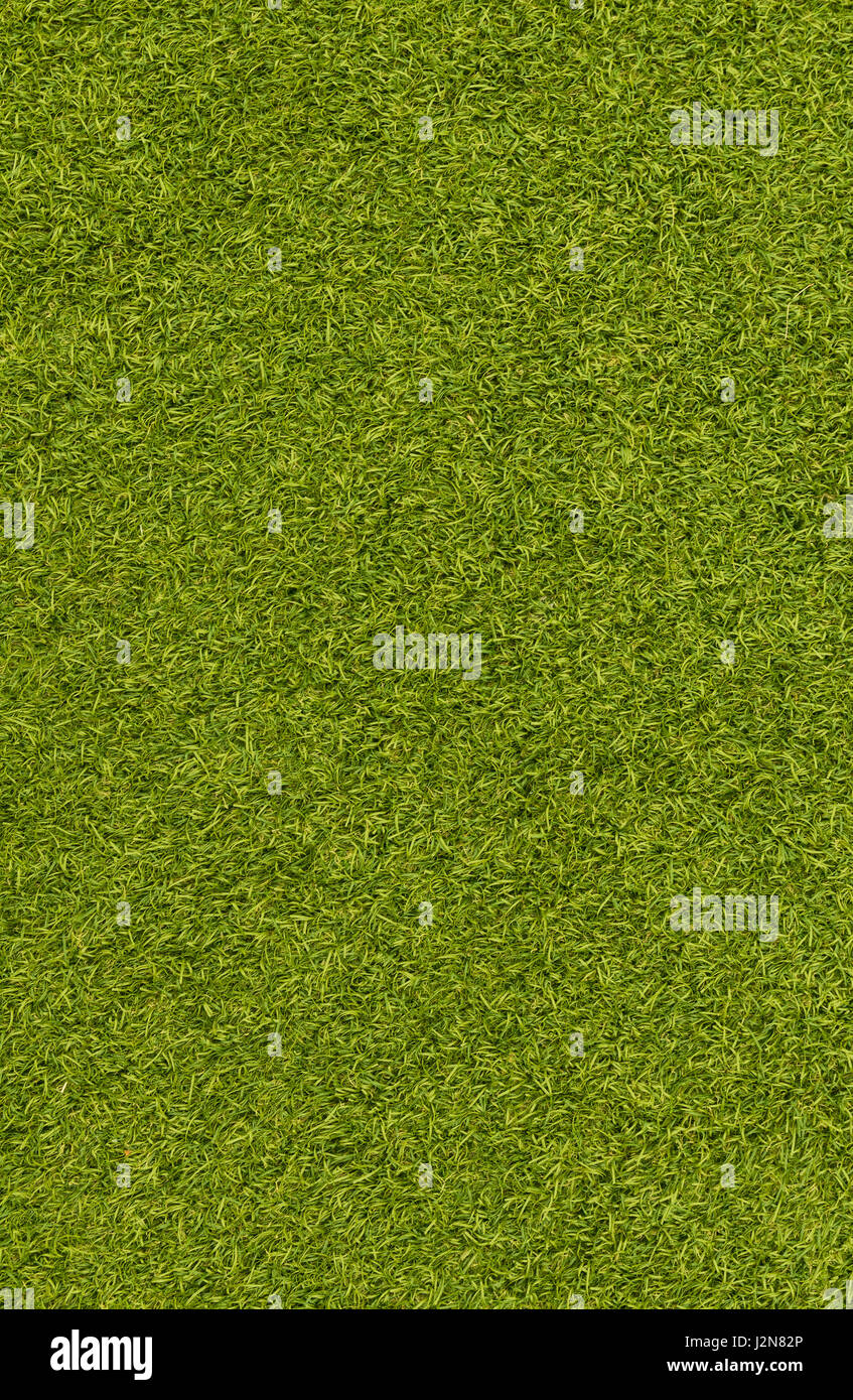 Bright green artificial grass texture or background Stock Photo - Alamy