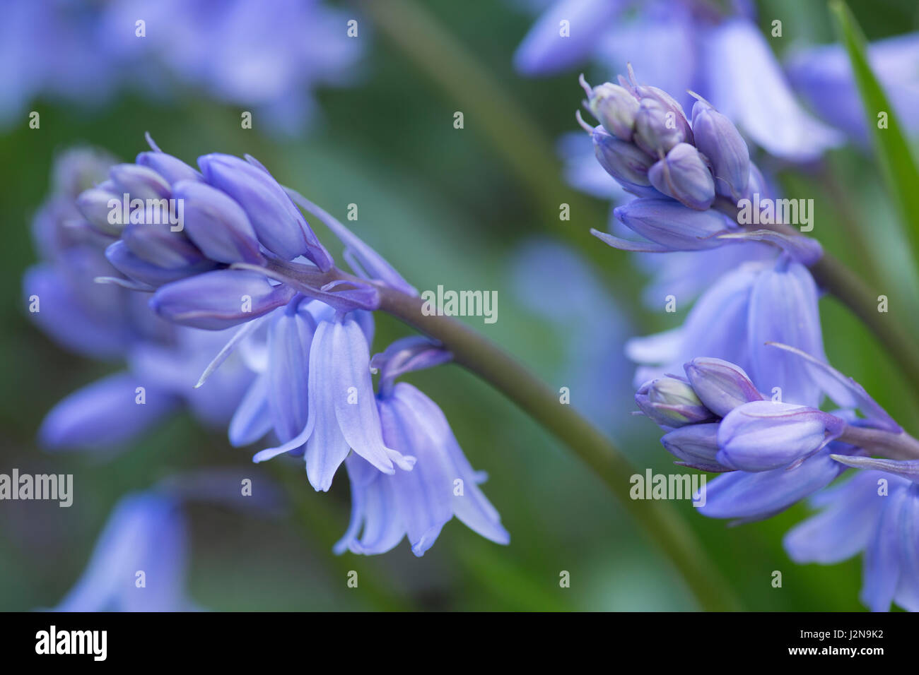 Close to the spanish border hi-res stock photography and images - Alamy