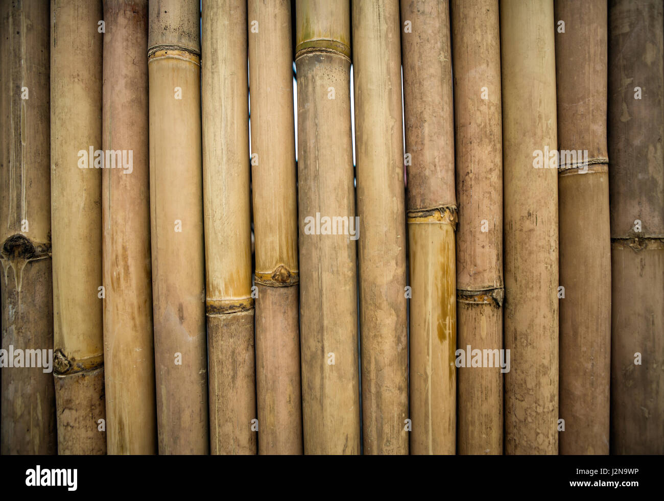 Bamboo trunk texture background Stock Photo - Alamy