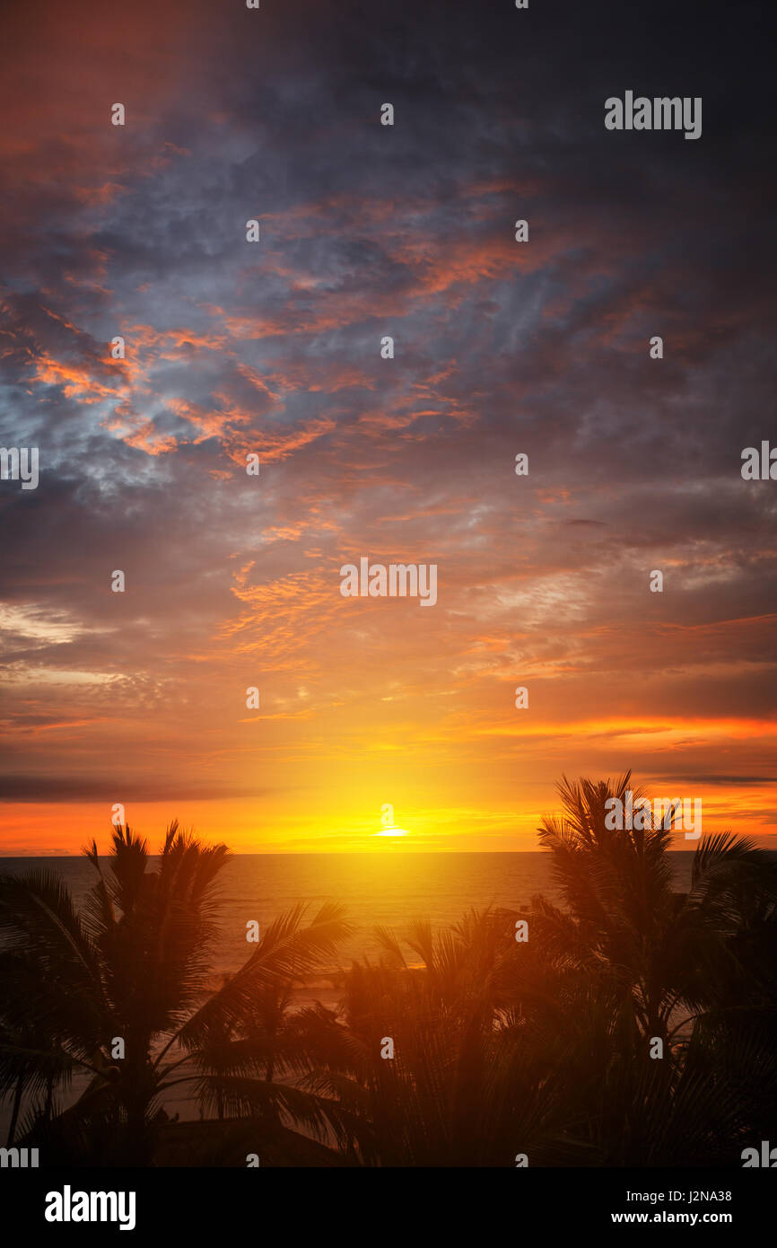 Background of tropical sunset, colorful sky Stock Photo - Alamy