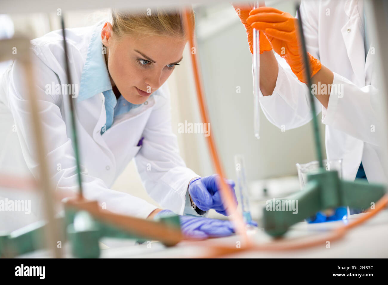 Close up young lab technician work in lab Stock Photo - Alamy
