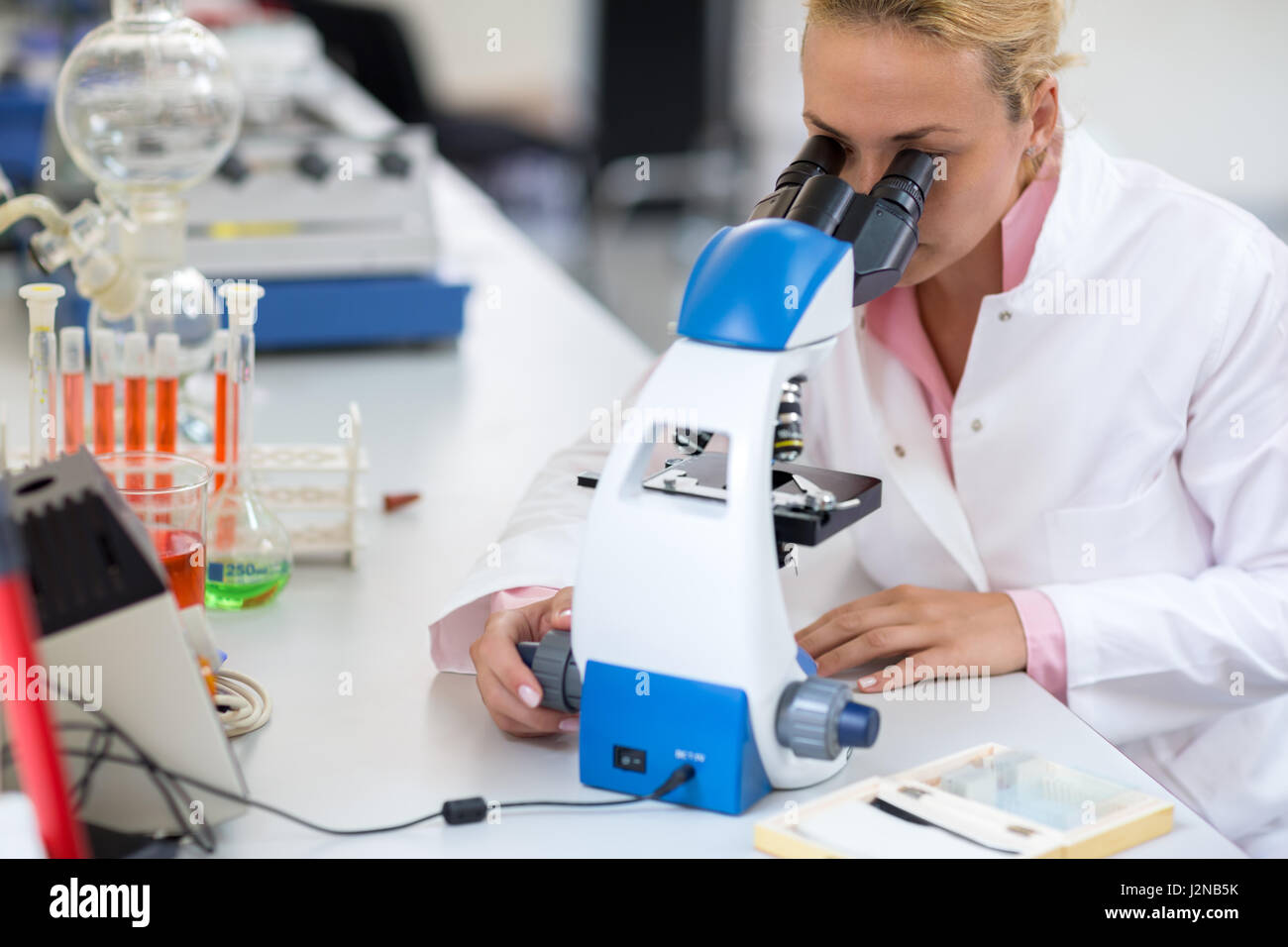 Female chemical technician exam sample with microscope Stock Photo - Alamy