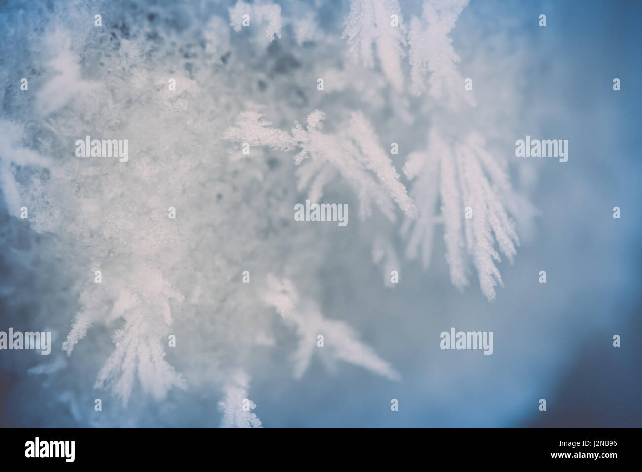 snowflake and ice crystal closeup shot. retro vintage film polaroid ...