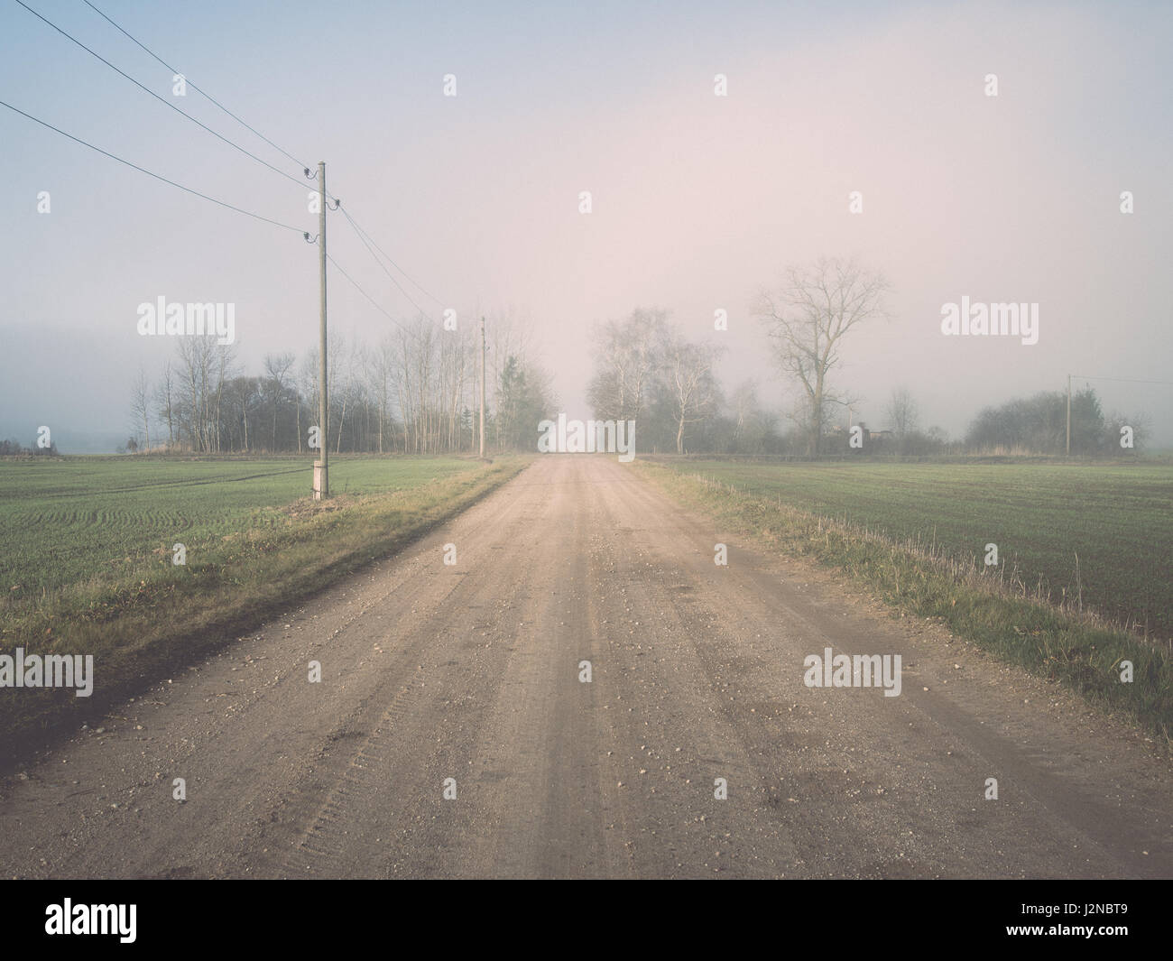 beautiful green meadow in heavy mist with lonely trees - retro, vintage ...