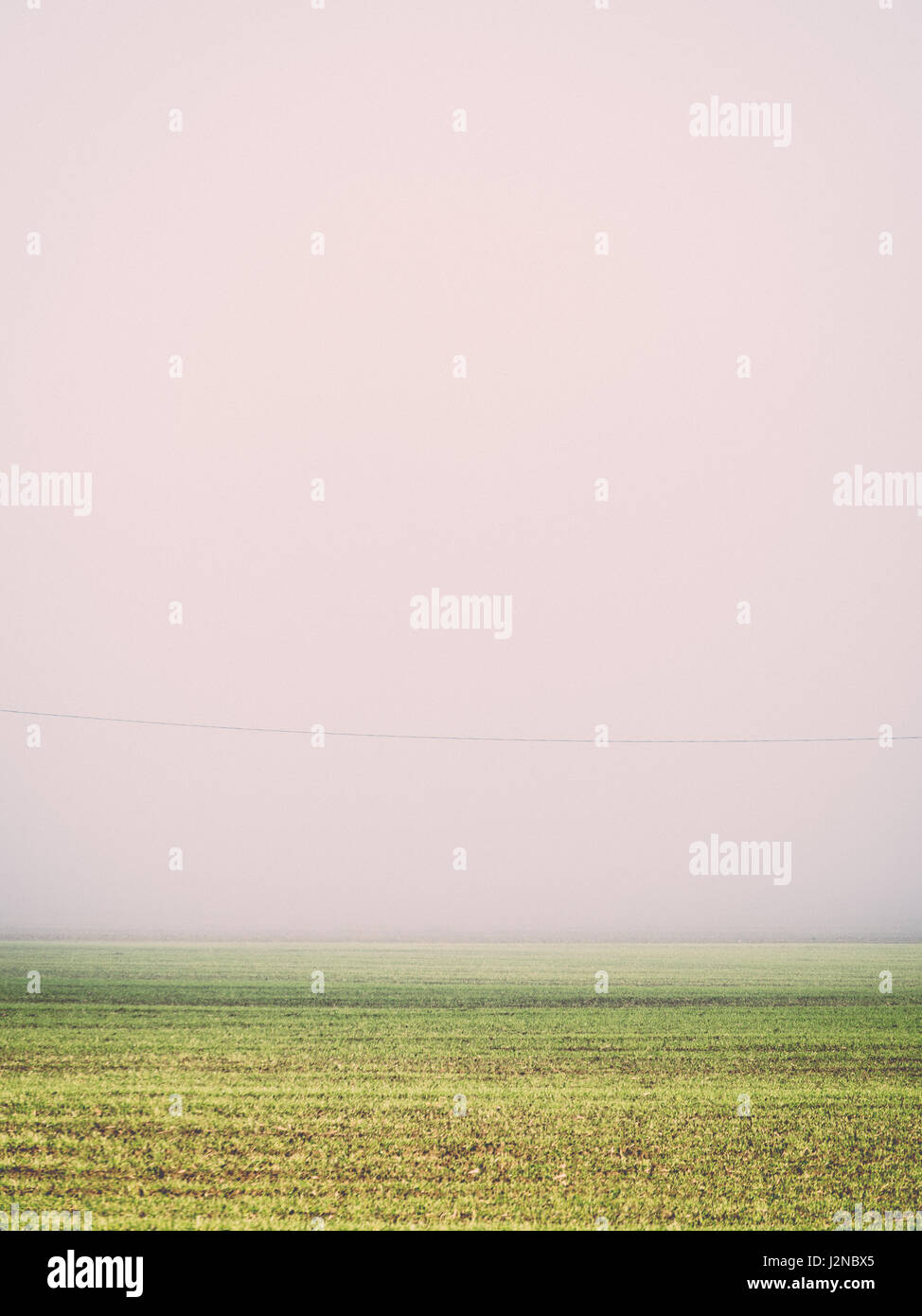 beautiful green meadow in heavy mist with lonely trees - retro, vintage ...