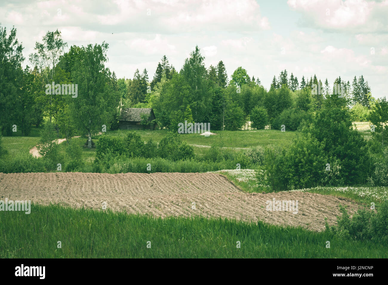 bright fresh fields in country under blue sky with white storm clouds - vintage film effect ...